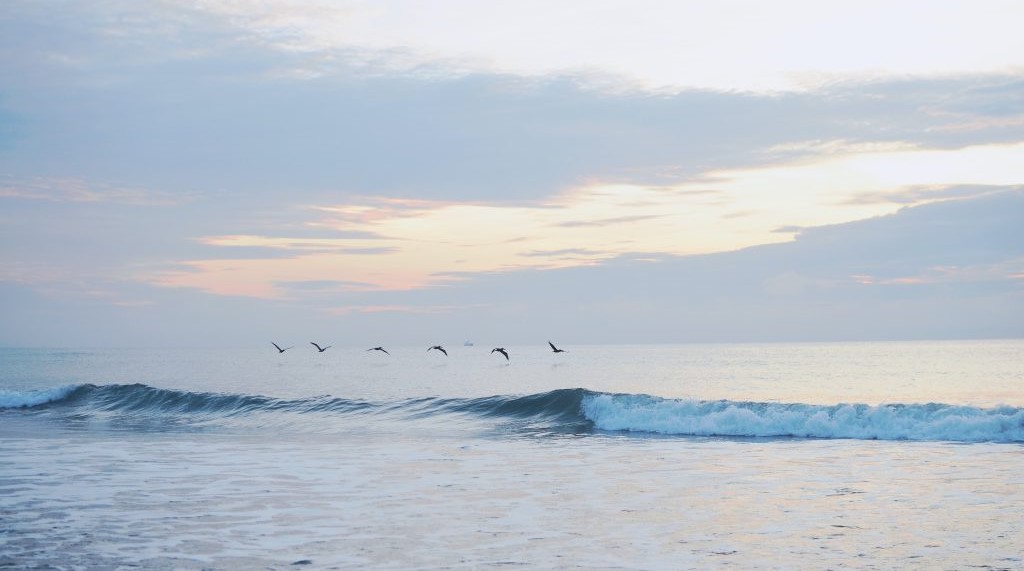 Sunrise Claims – Be prepared when it matters most