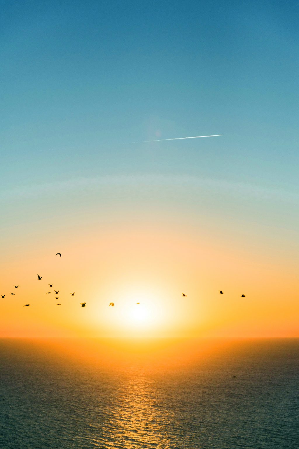 Sunrise Claims – Be prepared when it matters most